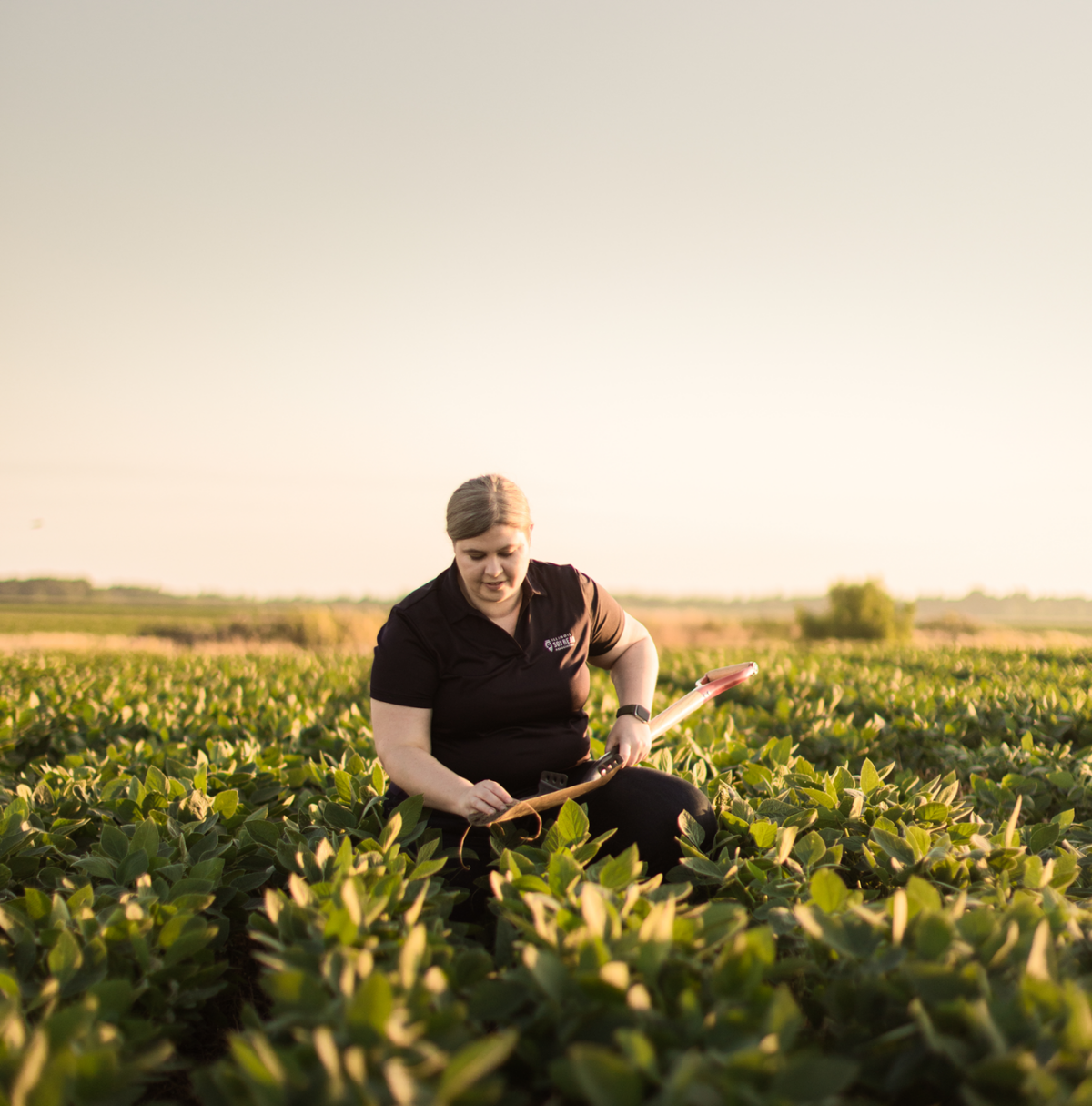 "Optimizing Operations" | Illinois Soybean Association