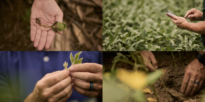 "The Rise of Soy-Based Plastics" | Illinois Soybean Association